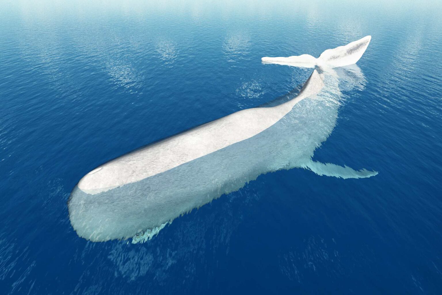 Whale Behavior and Communication: A Deep Dive