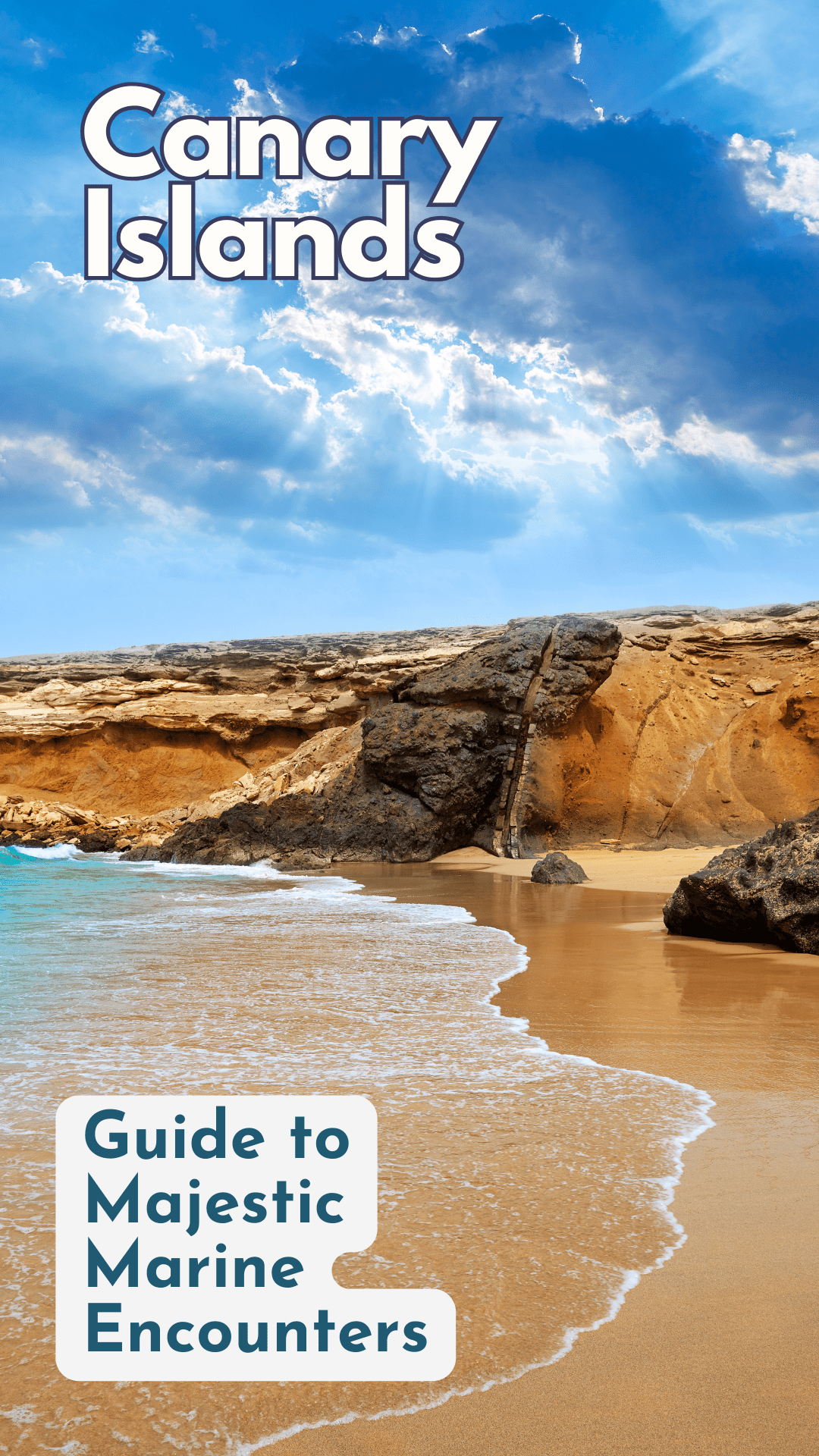 Canary Islands Whale Watching: A Guide to Majestic Marine Encounters ...